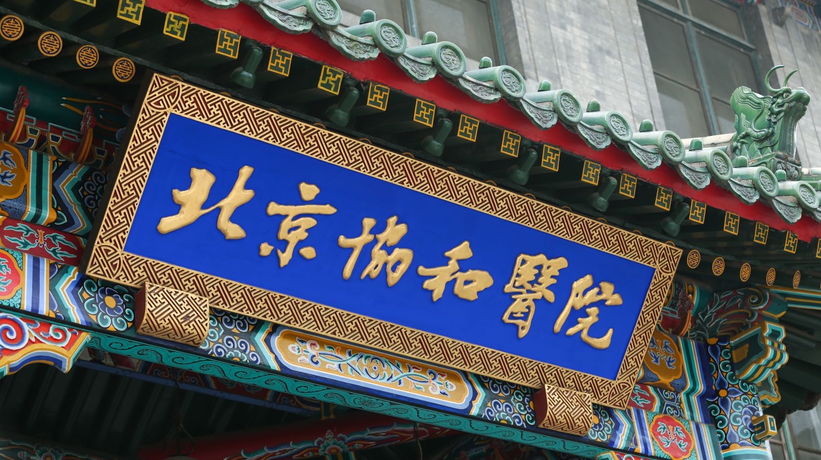 北京协和医院